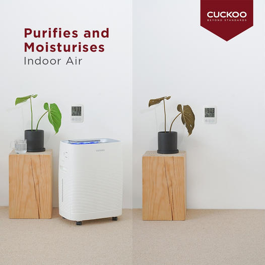 CUCKOO C+ HUMIDIFIER PENAPIS UDARA | PROMOSI 2025
